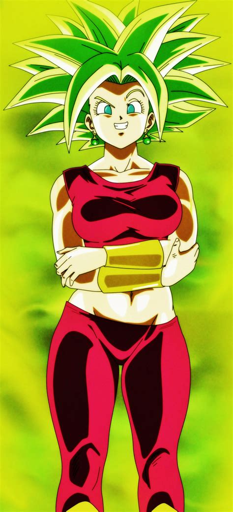Caulifla Kale Y Kefla Anime Dragon Ball Super Dragon Ball Artwork