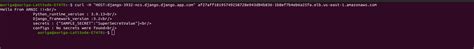 GitHub Amnic Testing Organization Testing Python Amnic