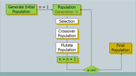 Genetic Algorithm Diagram For 20 Generation Download Scientific