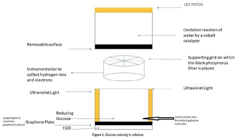 Civil Environmental Engineering Cellulose