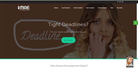 Review Revieweal Top Writing Services