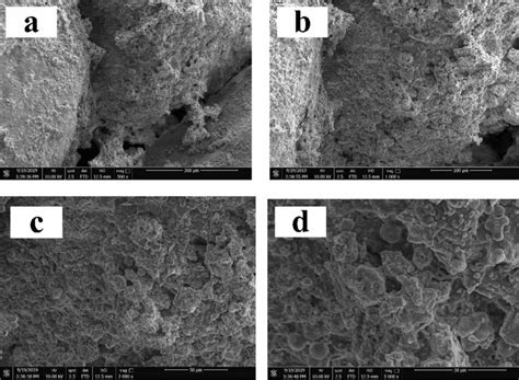 Microstructure Of The Microbial Consolidation Specimen A1 A Magnified