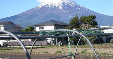 富士山に農鳥出現