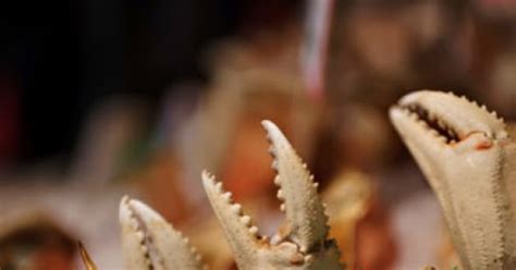 Fish Skool With Fishmonger Ryan Rector Pnw Crab In Seattle At