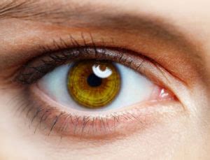 Top 5 Interesting Facts About Your Eyes Stahl