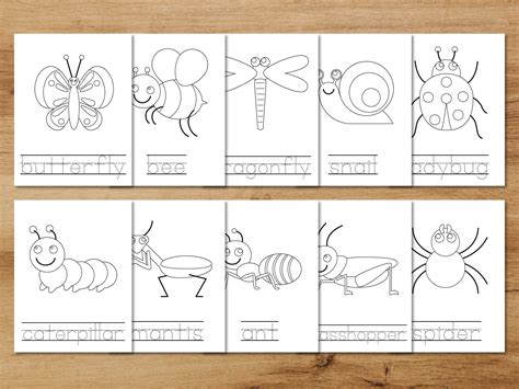 10 Bugs And Insects Coloring And Tracing Printable Worksheet For