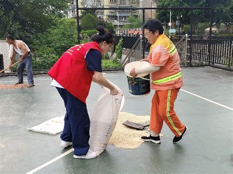 炎炎夏日送关怀青春志愿助农忙 青春飞扬季忆夏乡暑期三下乡志愿服务队助力社区玉米收晒 大学生之声