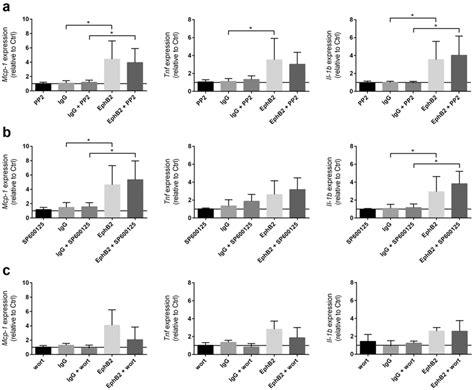 Fig S7 Pro Inflammatory Activation Of Astrocytes By Ephb2 Does Not