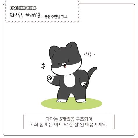 창틀에 낑겨서 자는 고양이 인스티즈instiz 이슈 카테고리