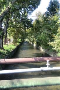 秋の玉川上水を歩くweblog