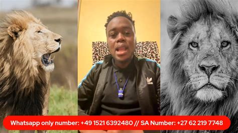 Sikhipha Izimfihlo Ngikhathele Ukukhothiswa Ipipi Elinukayo Elingasokiwe Blaqlife Tv