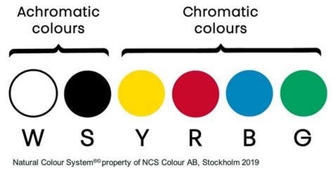 understanding ncs system ncs