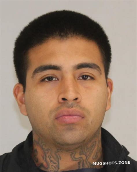 NAVARRETE LUIS 06 04 2024 Dallas County Mugshots Zone