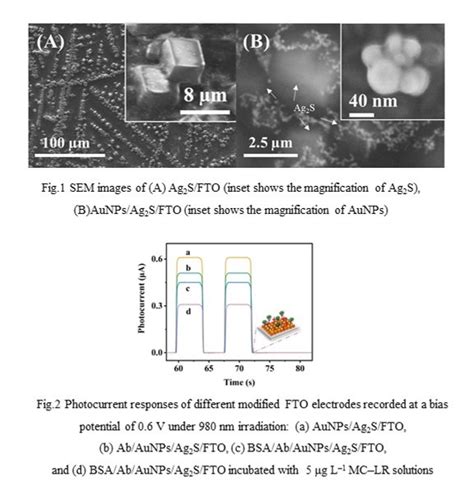 Near Infrared Light Excited Photoelectrochemical Biosensing Platform