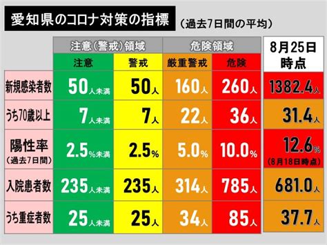 【速報】初の2000人超え新型コロナ 愛知の新規感染者2141人 3日連続過去最多 名古屋943人 東海テレビnews