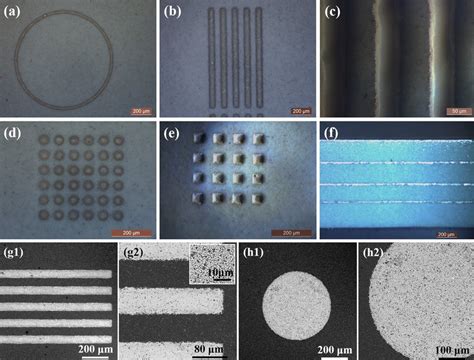 Optical Morphologies And SEM Images Of The Internal And External Download Scientific Diagram
