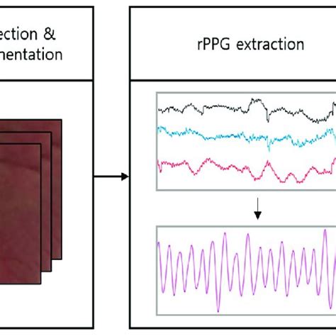 Ppg Signal Acquisition Process After Hand Detection Using Mediapipe