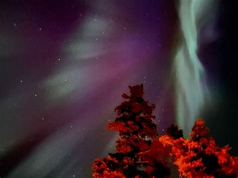 Elise Matson Elise Matson Added A New Photo