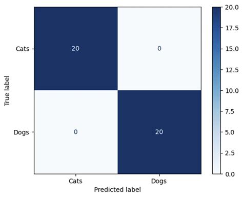 Nyckel Vs Keras Image Classification Comparison Nyckel