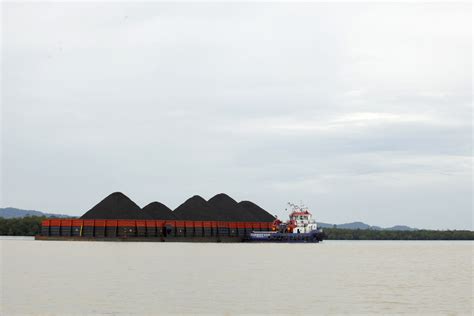 Indonesian Govt Comes Under Pressure To Dump Coal Trend Asia