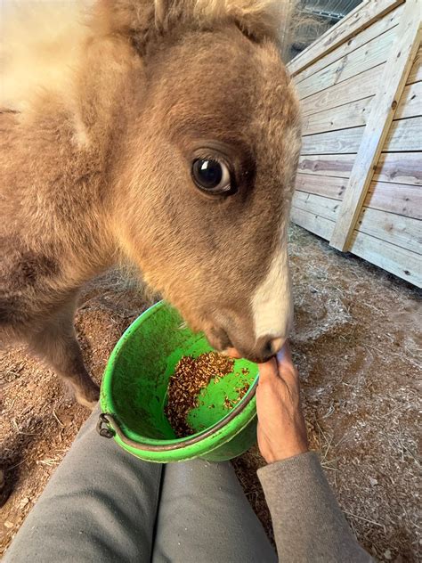 Deborah Ruppert Dinner For Two Facebook