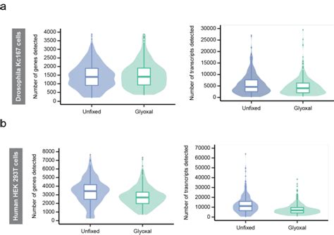 Library Complexity In Unfixed And Glyoxal Fixed Samples A B Number Download Scientific