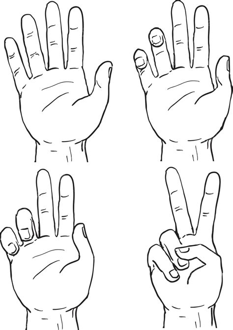 Victory Or Peace Hand Sign Drawing Index Finger Artwork Ink Vector