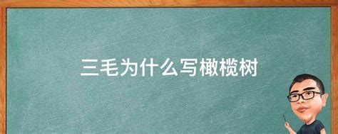 三毛为什么写橄榄树 业百科