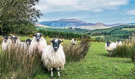 Then And Now Putting It On A Map Tom Aherne Limerick Live