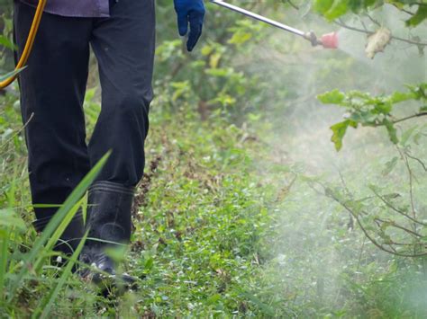 Help Your Trees Resist Pests Johnson Ops Tree Care