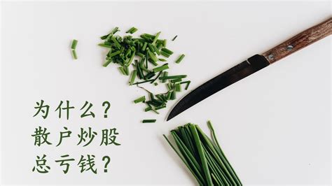 No28 为什么散户炒股总亏钱？ Youtube