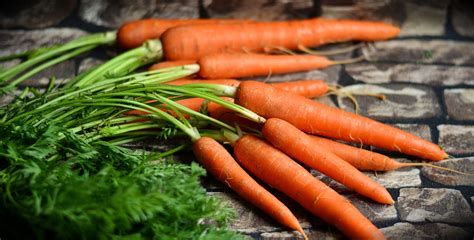 Federal Carrots HD Wallpapers
