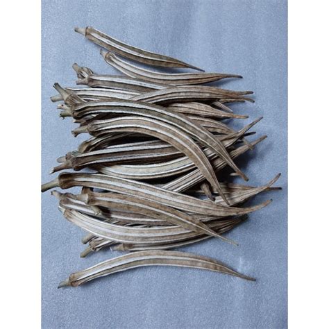 Biji Benih Bendi Ladys Finger Seeds Sebiji Shopee Malaysia