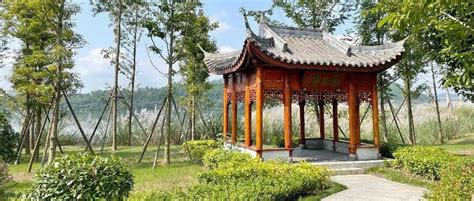 大水退去，梨仙湖湿地公园依然美丽苍溪