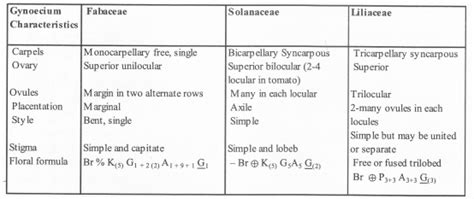 Ncert Exemplar Solutions For Class 11 Biology Chapter 5 Morphology Of