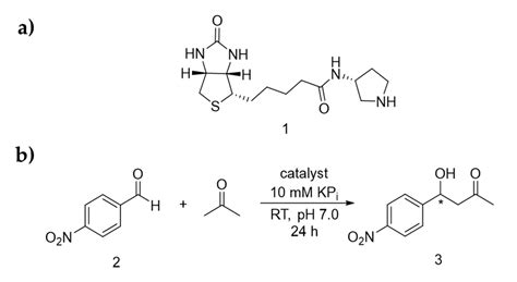 Streptavidin Hosted Organocatalytic Aldol Addition