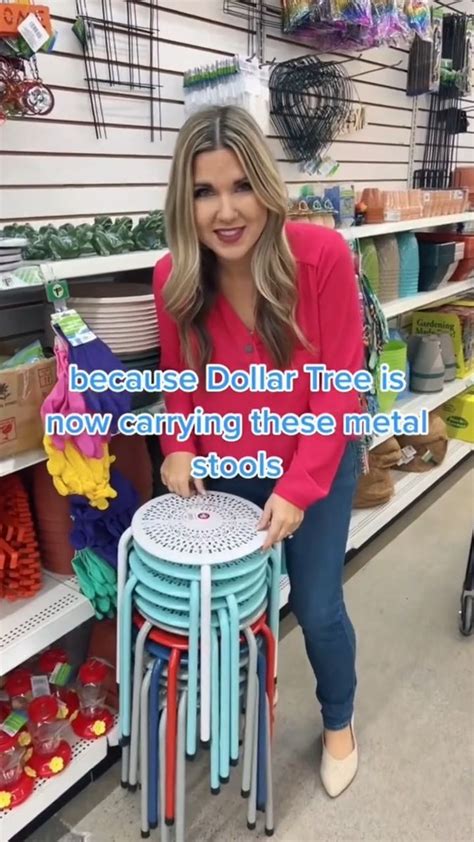 Dollar Tree Finds Dollartree Viral Reels Diy Dollartreefinds