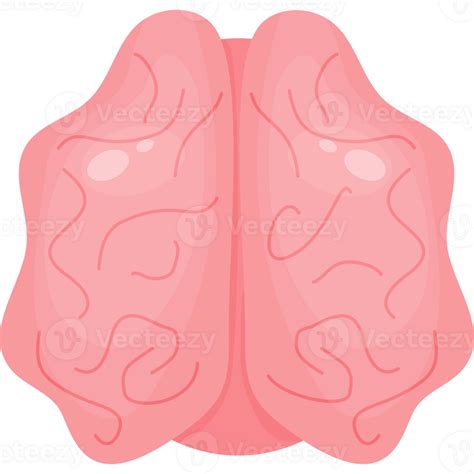 Brain Human Cartoon Organ 23254442 Png