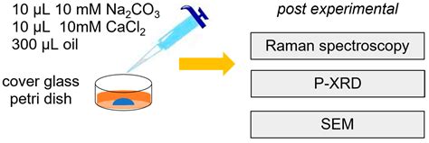 Minerals Free Full Text The Use Of Microfluidic Platforms With