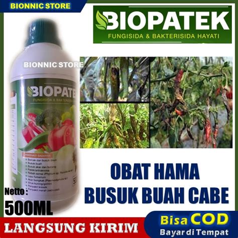 Jual BIOPATEK Ml Obat Alami Penyakit Busuk Buah Cabe Cabai Keriting Cabe Rawit Cabe Merah
