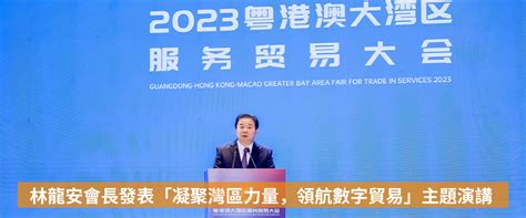 大湾区进出口商业总会