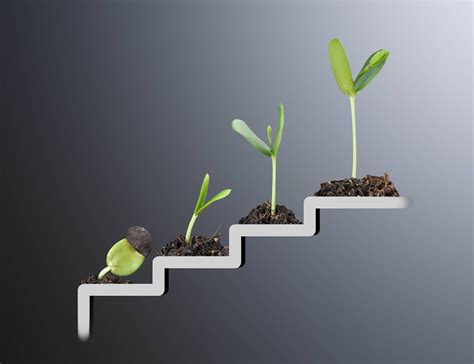 Aba Continuous Measurement Types Examples And Execution