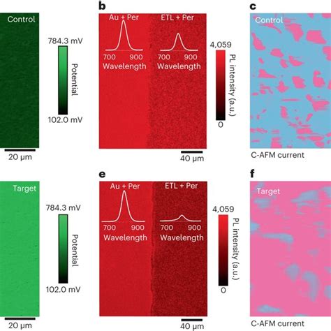Structure Of A N‐i‐p Type Psc And B P‐i‐n Type Psc Download Scientific Diagram