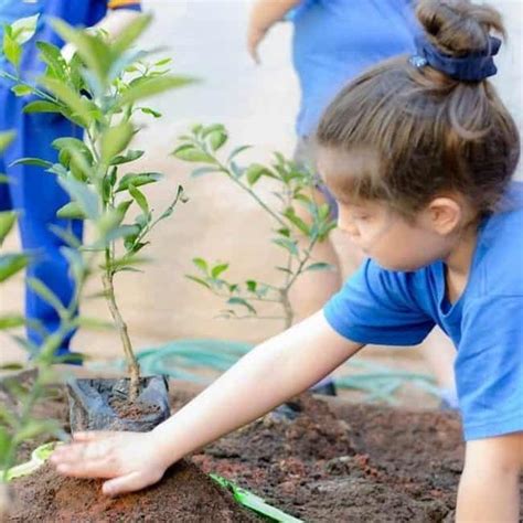 Unterrichtsmaterialien Nachhaltige Ernährung Und Klimaschutz Wwf