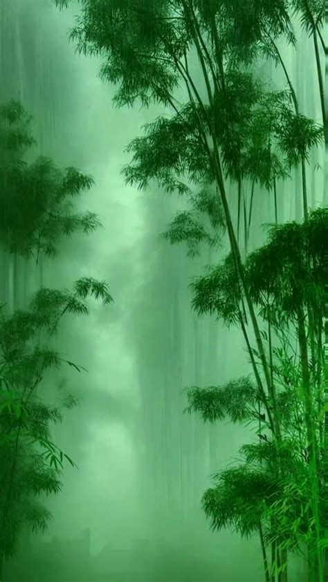 竹林听雨风景手机动态壁纸 风景手机壁纸下载 元气壁纸