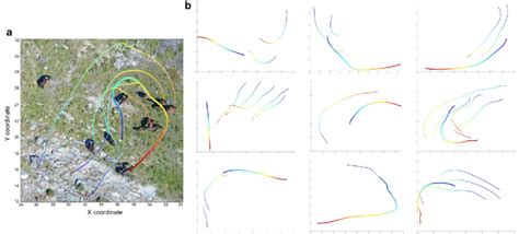 A View From The Camera Of The Drone Showing Trajectories Of The Male