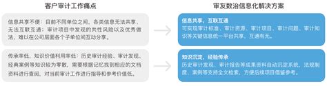 审友a7 审计管理系统 审友数治 更多客户选择的审计软件