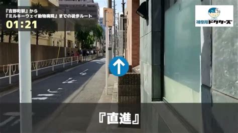 ミルキーウェイ動物病院の徒歩ルート（吉野町駅・動物病院） Youtube