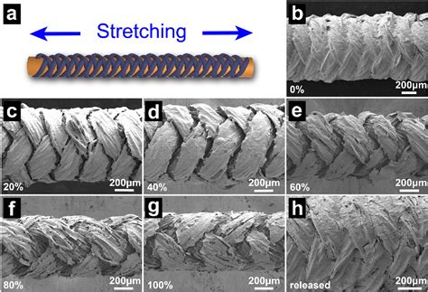 Figure 4 From Highly Stretchable And Strain Sensitive Fibers Based On Braid Like Structure And