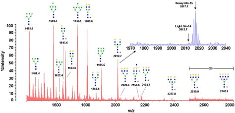 Quantitative Analysis Of N Linked Glycans Using Maldi Tof Ms N